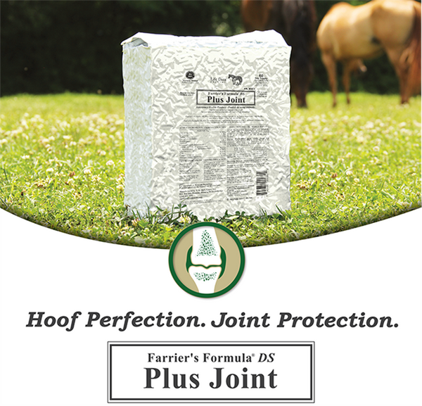 Farrier's Formula DS Plus Joint - Canadian Forge & Farrier